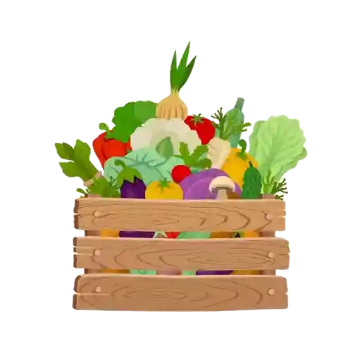 Lushful - Big Combo Basket